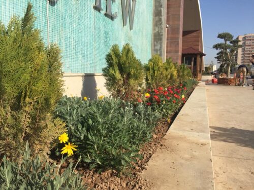 Park View Erbil – Prunus Landscape